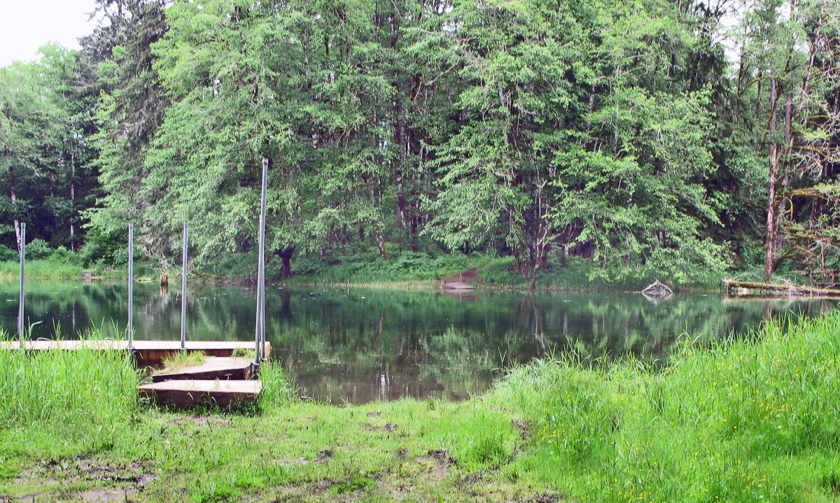 Scout Lake Overview – Wild Columbia County