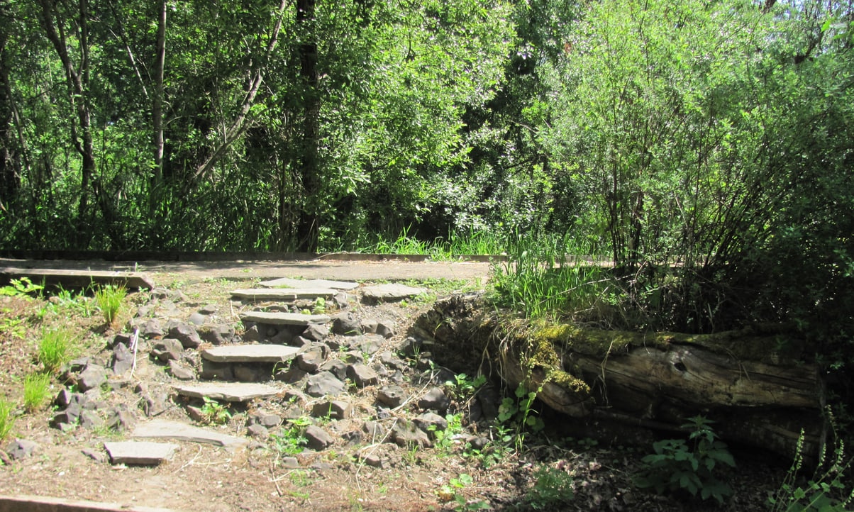 Scappoose Bay Marine Park Overview – Wild Columbia County