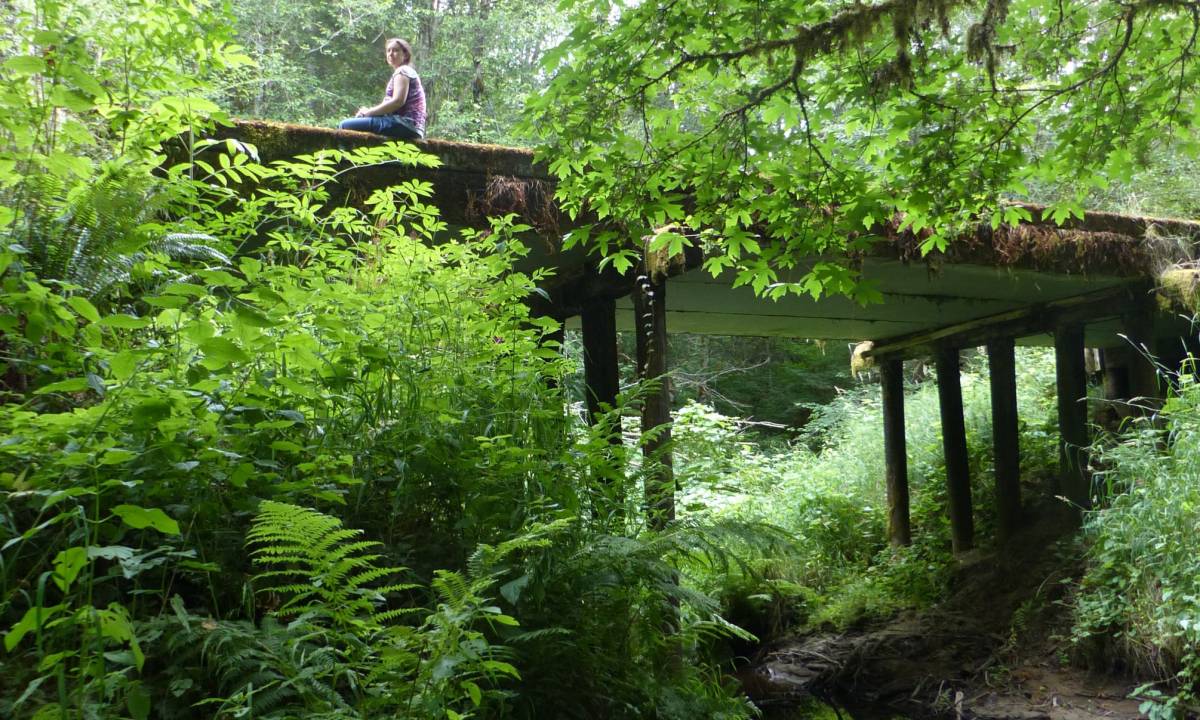 CZ Trail: Nehalem Divide to Wilark Trailhead Overview – Wild Columbia ...