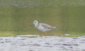 Scappoose Bay Marine Park Overview – Wild Columbia County