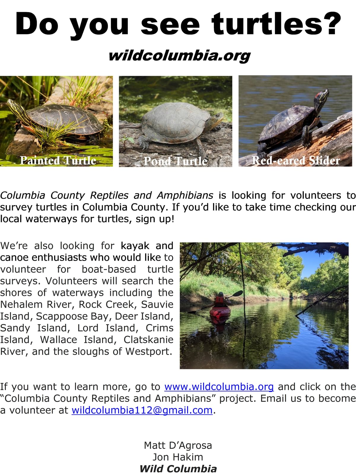 Do you want to survey turtles with us? – Wild Columbia County