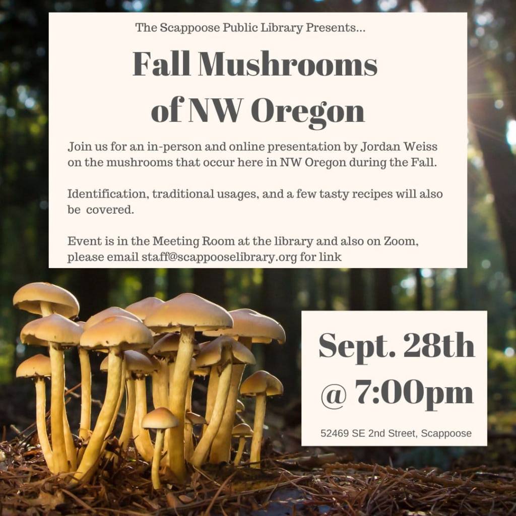 Oregon has the most delicious mushrooms – Wild Columbia County