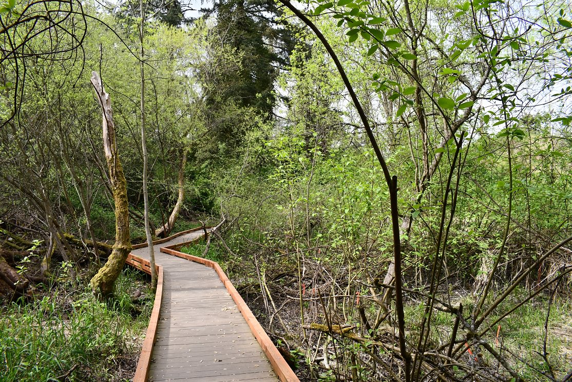 Wild Columbia County – Enjoying the outdoors in Columbia County, Oregon