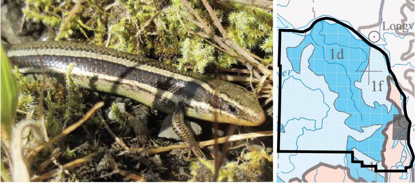 The study is published! Part 2: Where are these animals found? – Wild ...