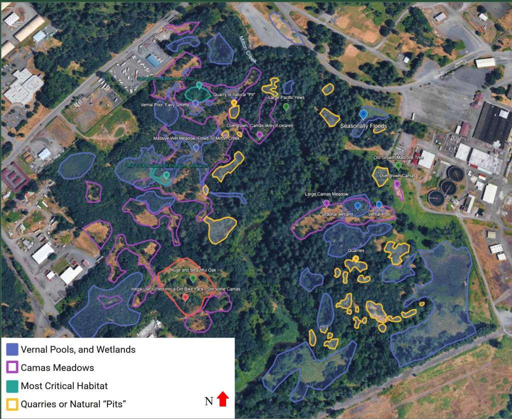 Wonders of the Boise Cascade Property – Wild Columbia County